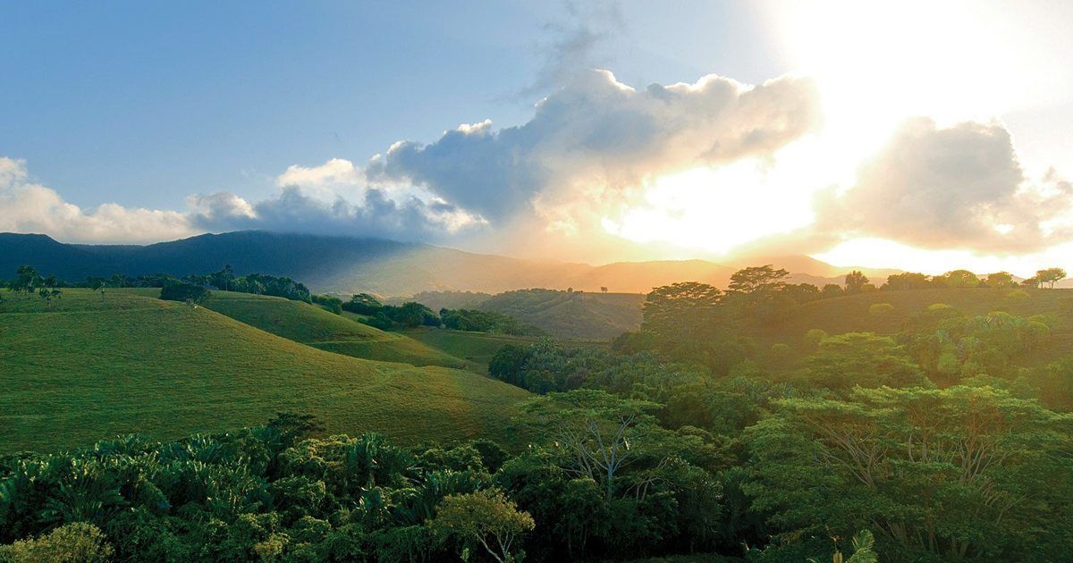 Night Safari Adventures in Mauritius | Heritage Nature Reserve